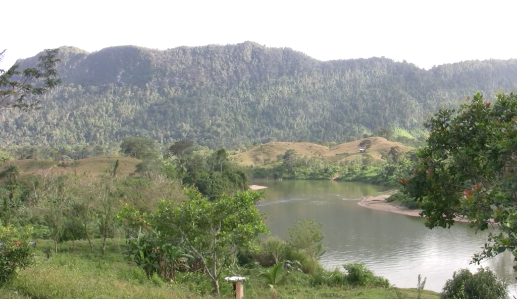 LOS RUIDOS DE LA TIERRA TAWAHKA - El Pulso